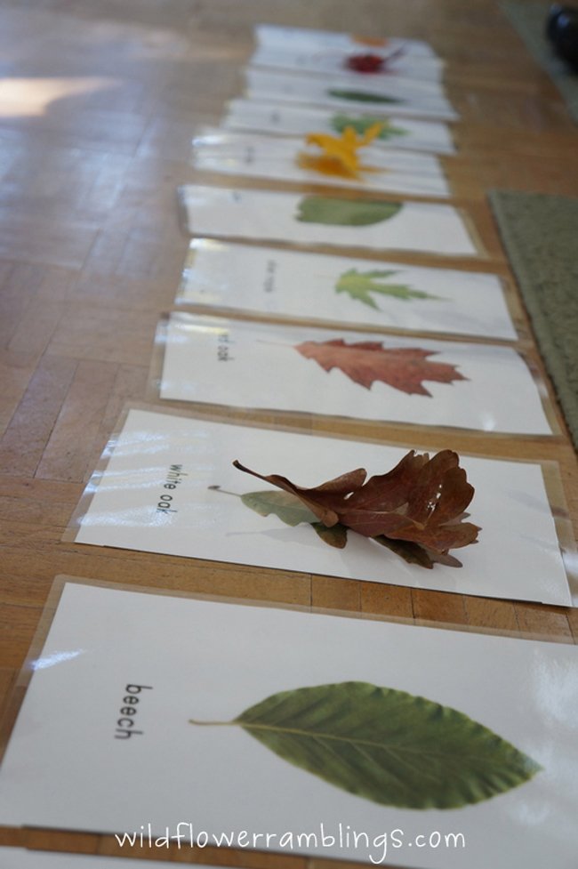 20 Fun And Creative Leaf Crafts To Try With Your Kids This Autumn!