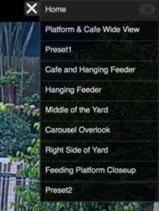 29 Of The Best Virtual Zoos And Live Cams In The World (Updated 2022)