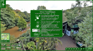 29 Of The Best Virtual Zoos And Live Cams In The World (Updated 2022)