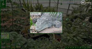 29 Of The Best Virtual Zoos And Live Cams In The World (Updated 2022)