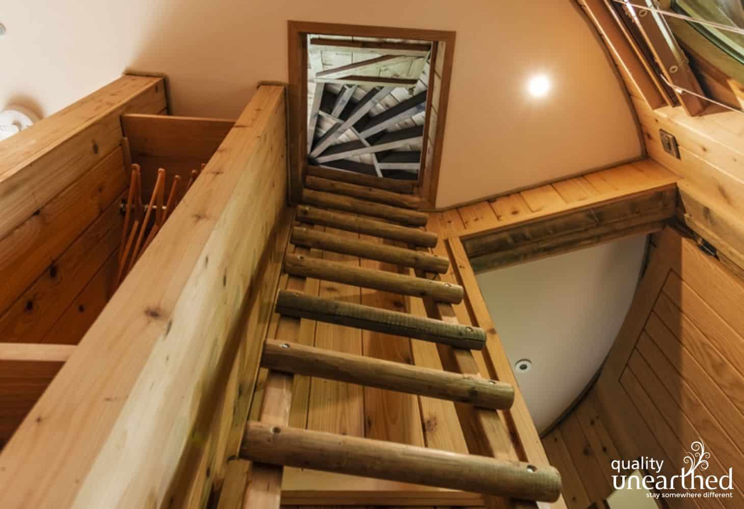 Hoots Treehouse (Updated 2022)