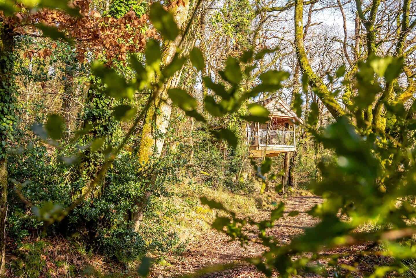 The Yeworthy Treehouse (Devon) Updated 2022