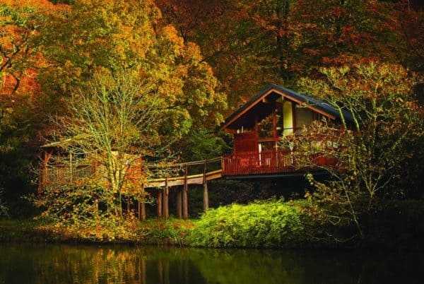 34 Treehouse Holidays UK (2022 & 2023) Compare Reviews